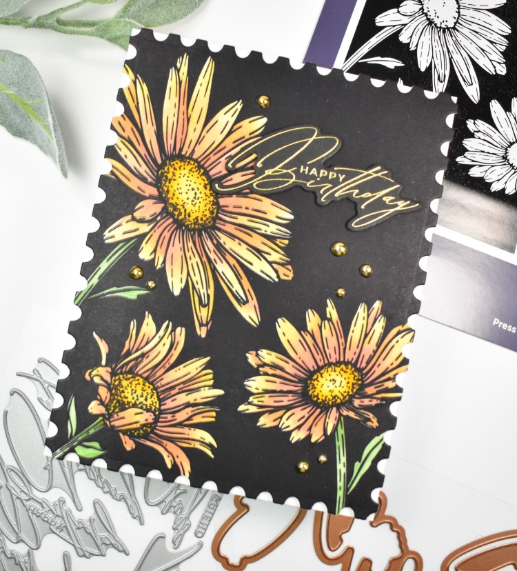Spellbinders Bold Daisy Trio – REDSAS